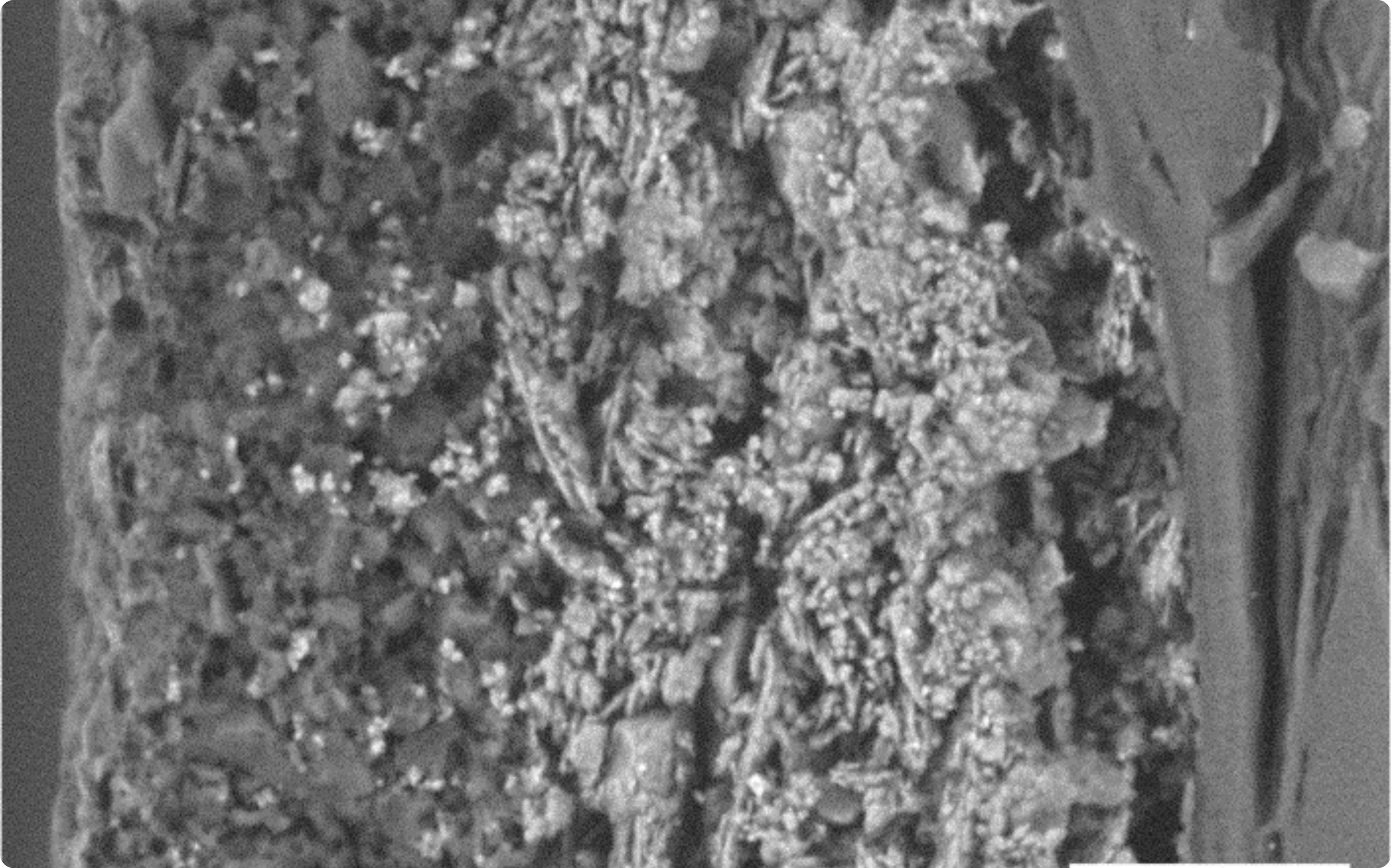 Your Top Questions Answered: Broad Ion Beam Milling with Hitachi's ...