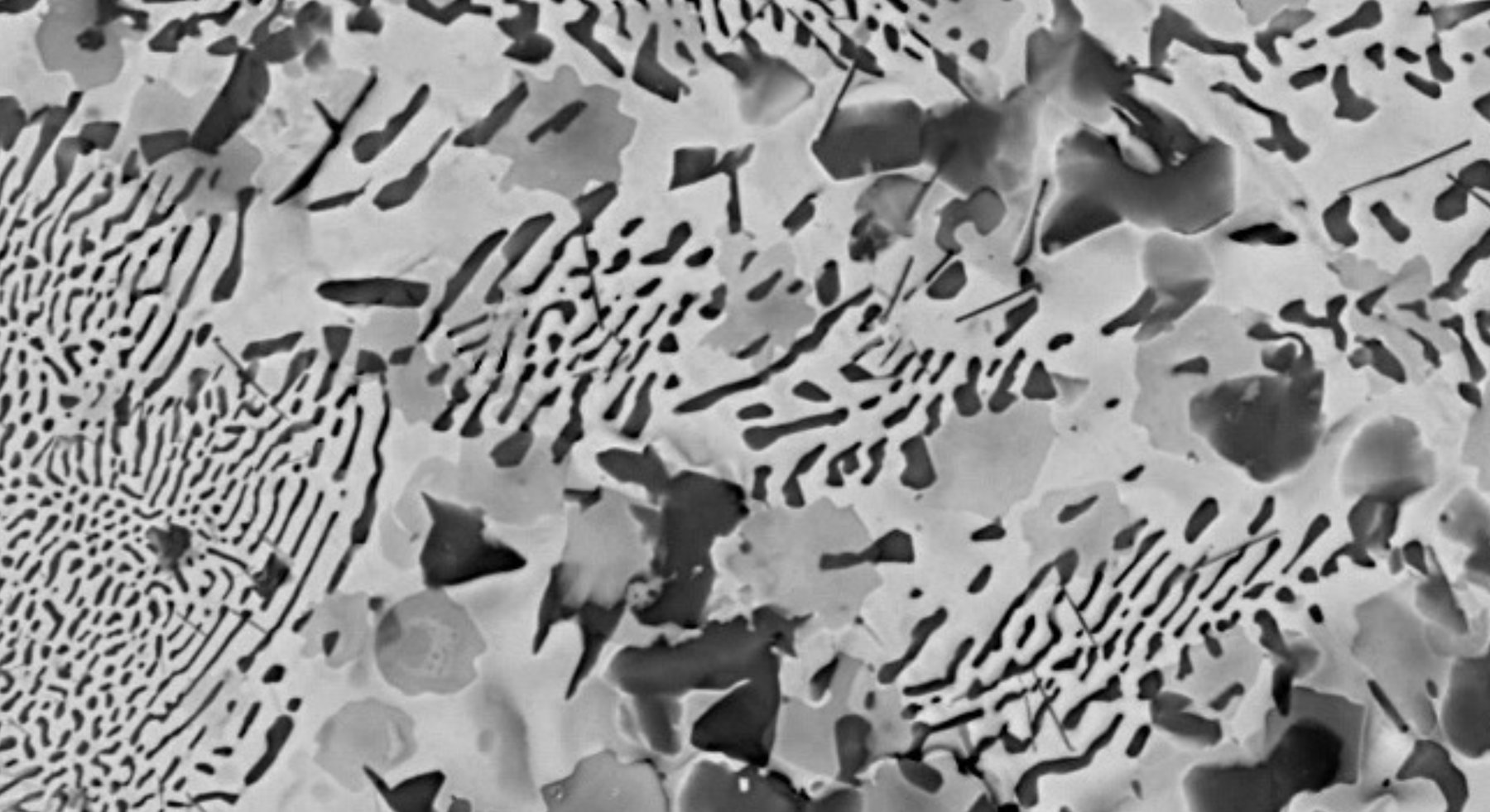 Hitachi | TM4000PlusIII Tabletop SEM