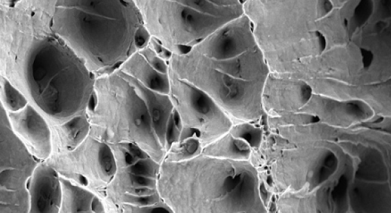 Hitachi | SU3800/3900 Universal SEM Family