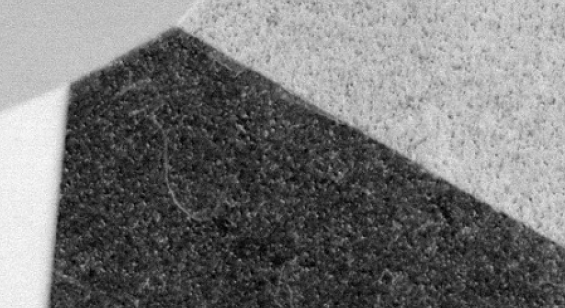 Hitachi | SU3800/3900 Universal SEM Family