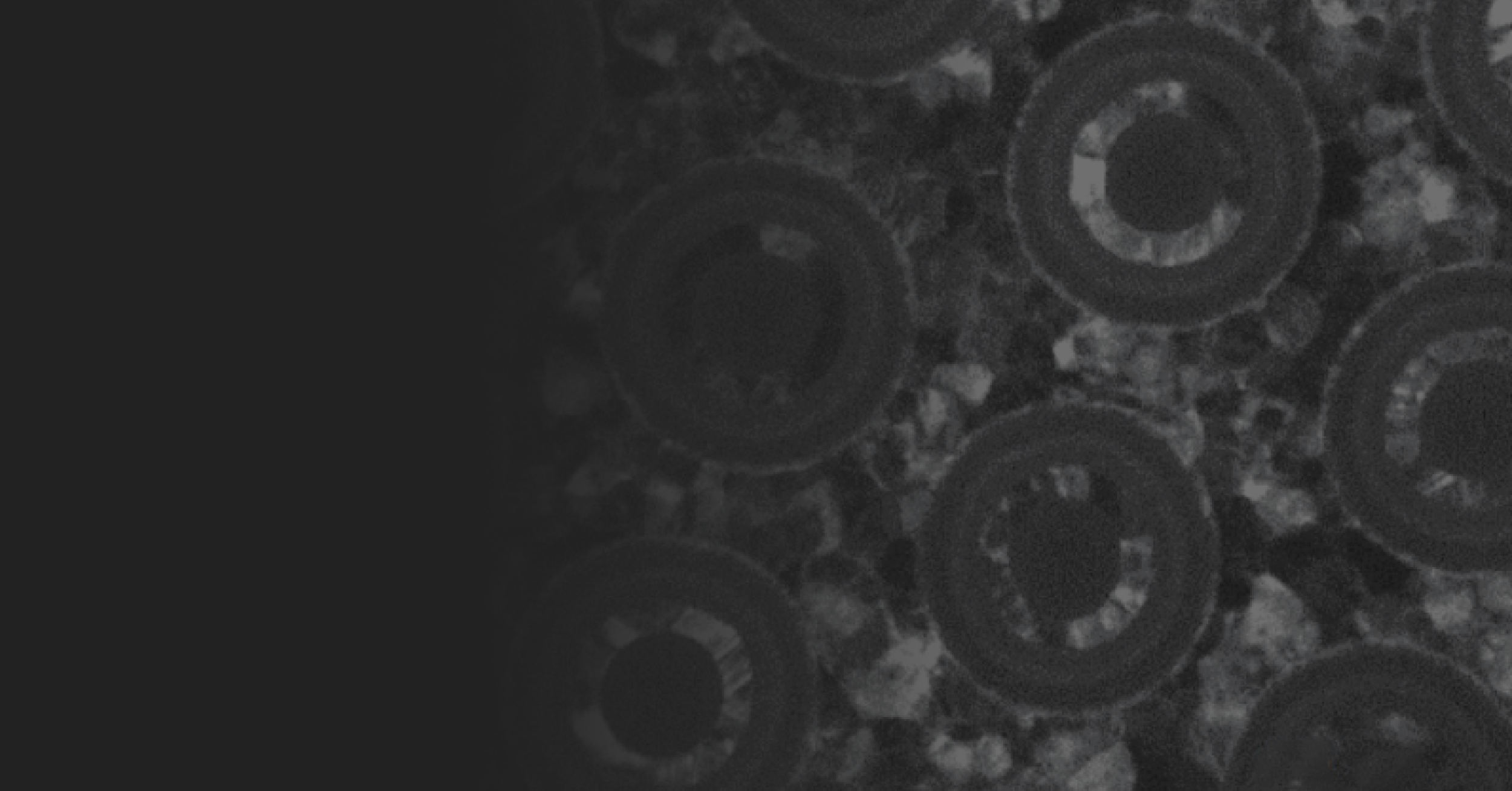 Hitachi High-Tech Europe | MC 2025 Registration